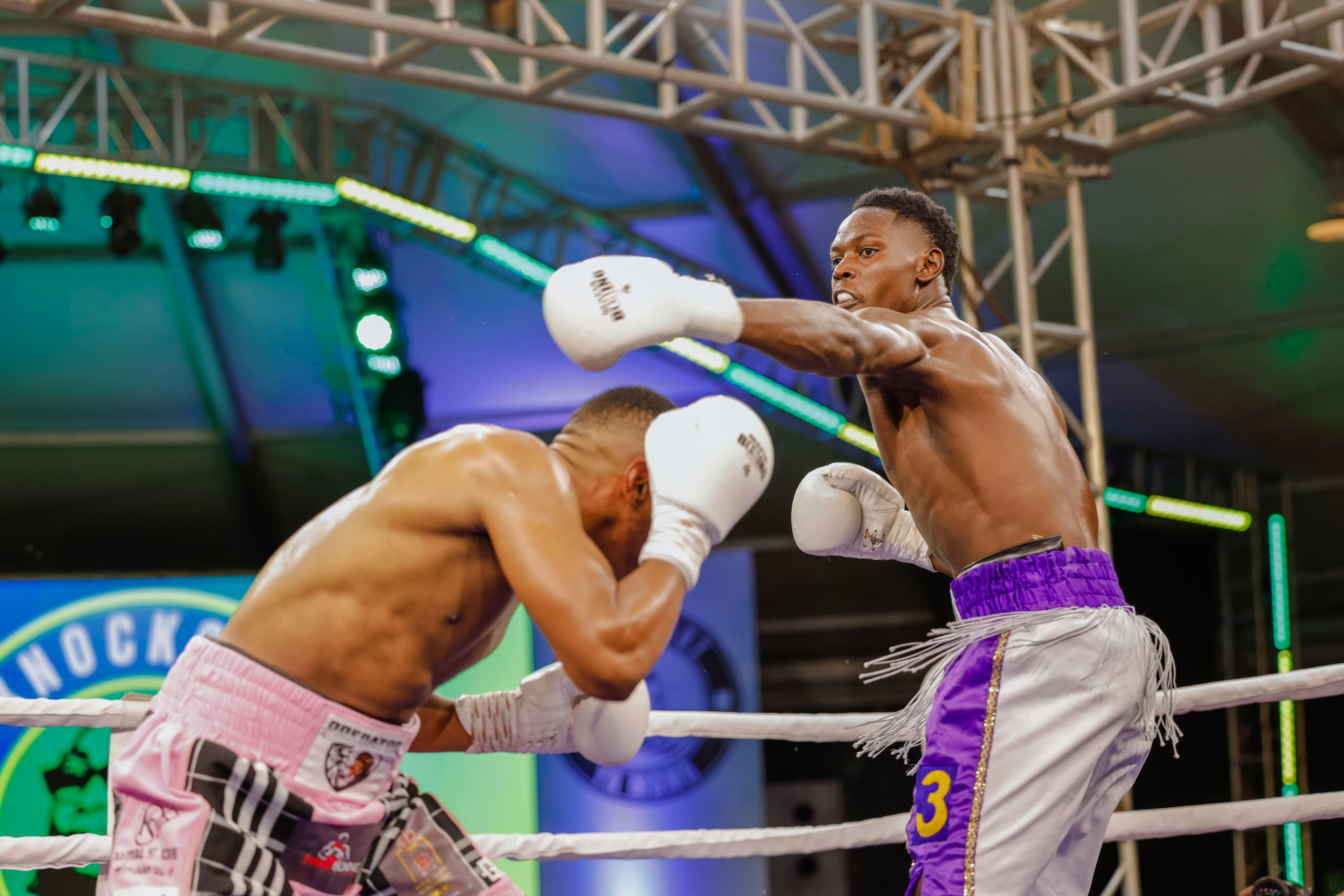 MAFIA BOXING | About